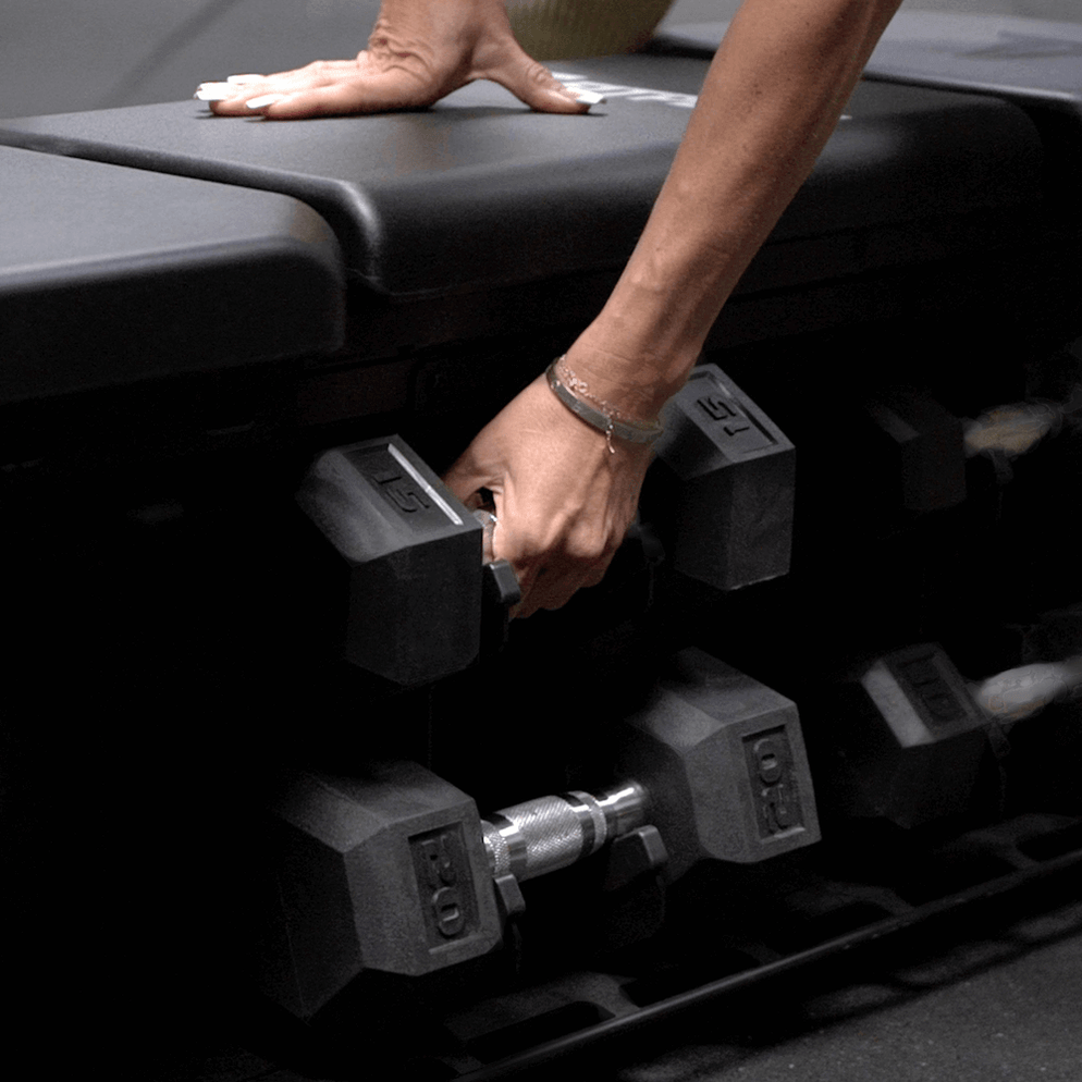 THROWDOWN FXD Bench — Throwdown Industries